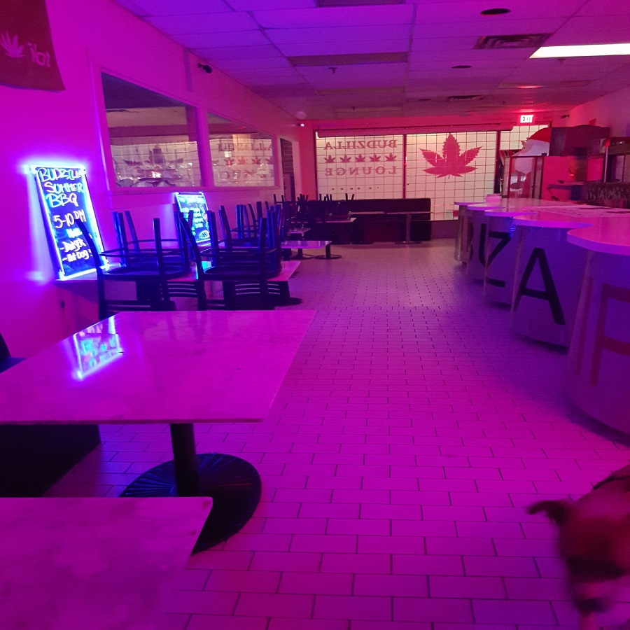 Budzilla Dispensary Clinic - Budhub Canada