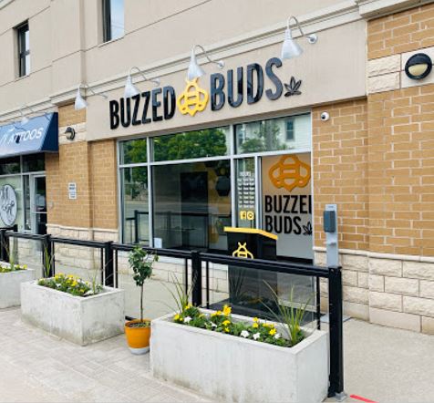 Buzzed Buds - Uxbridge - Budhub Canada
