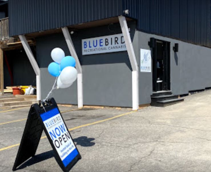 BlueBird Cannabis - Monatick - Budhub Canada
